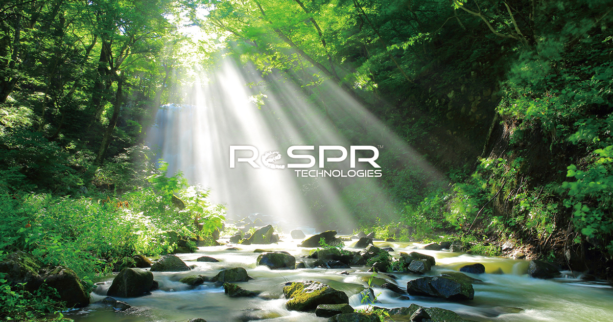 ReSPR（レスパー）｜空気浄化装置｜新着情報